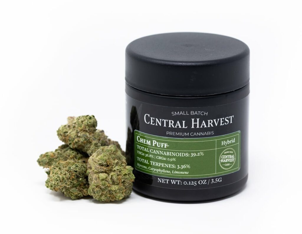 Chem Puff | Central Harvest | Hybrid Cannabis Strain