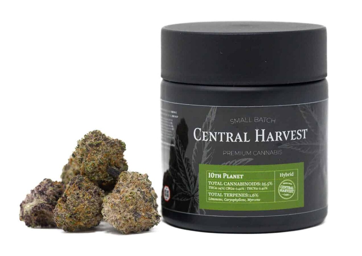 10th Planet | Hybrid Cannabis Strain | Central Harvest